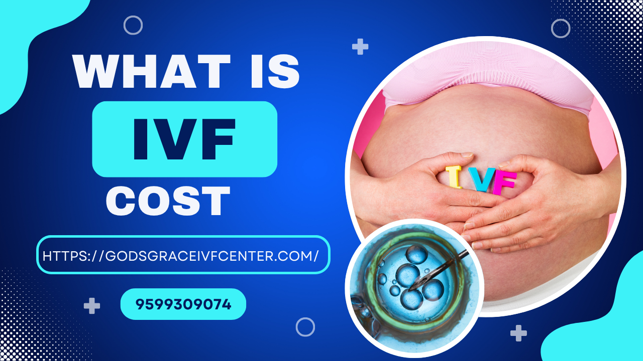 What is IVF Cost?